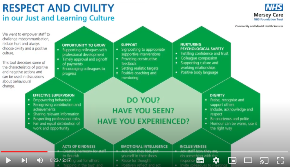 Mersey Care's Civility Jigsaw - Bullying and fear - Patient Safety ...
