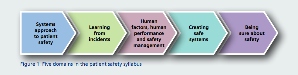 NHS Patient Safety Syllabus v. 2.1 (June 2022) - Training & education ...