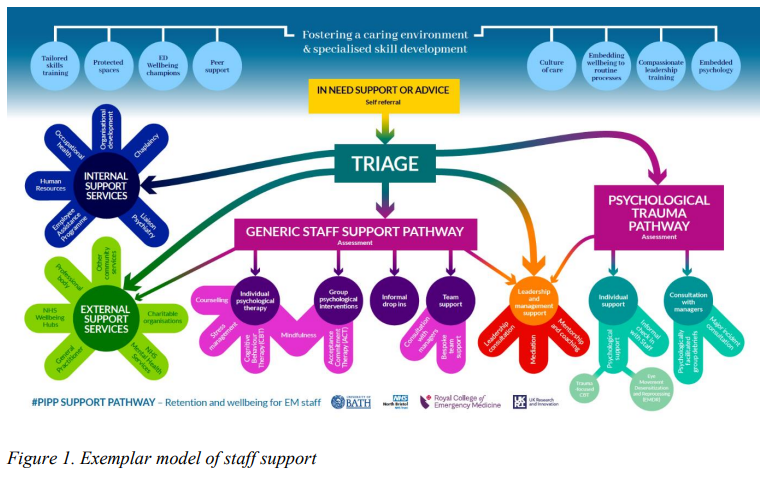 Psychologically informed policy and practice development (PIPP) project ...