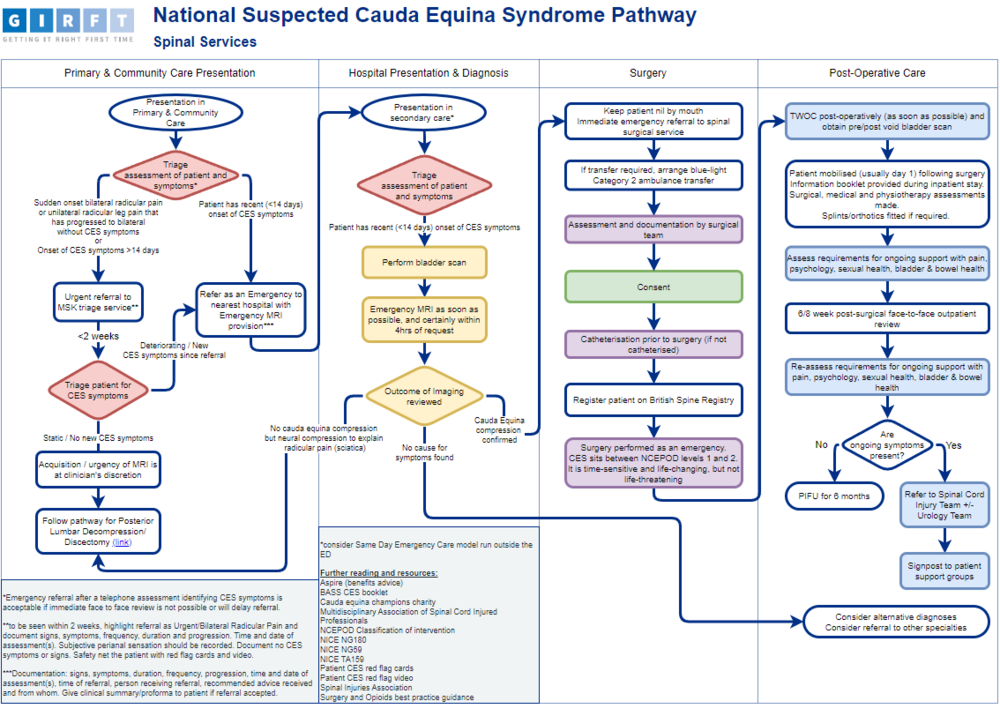 GIRFT - Spinal surgery: National suspected cauda equina syndrome (CES ...