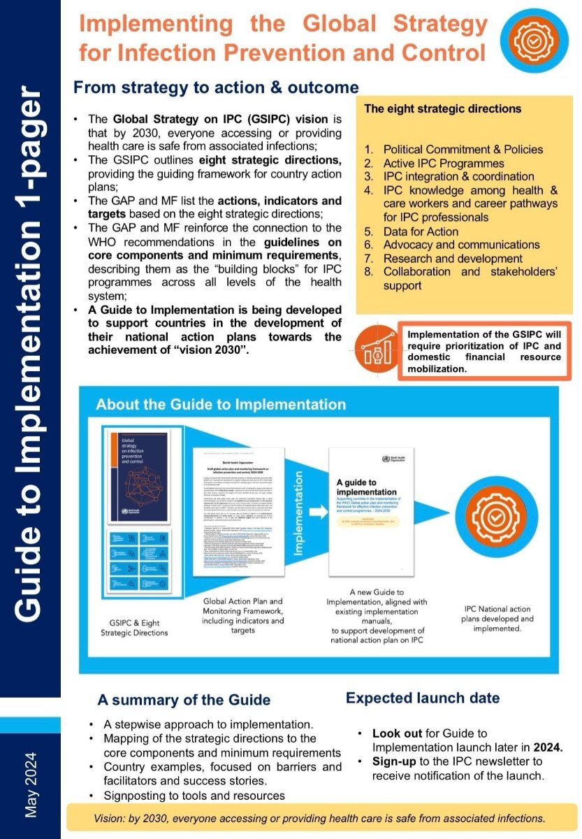 WHO's Global Strategy for Infection Prevention and Control: Guide to ...