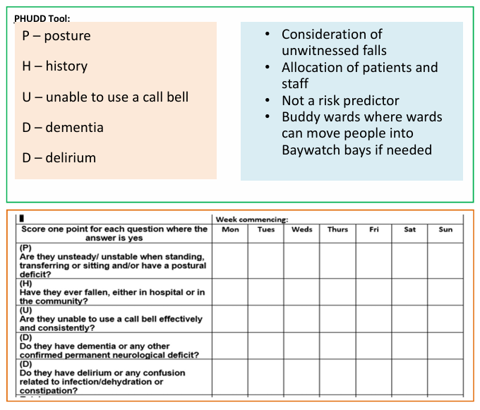 Insights from a reducing falls project at the University Hospital ...